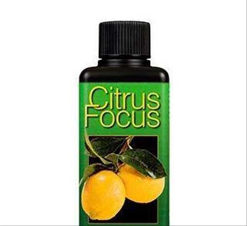 Удобрение GT Citrus Focus 100мл