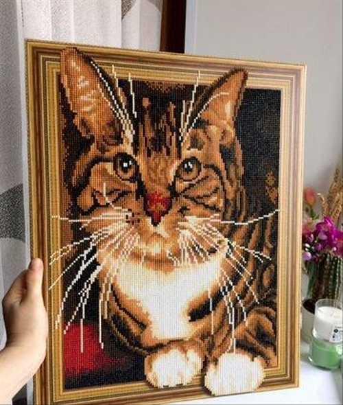 Алмазная картина "сибирский кот"