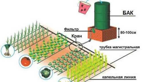 Капельный полив