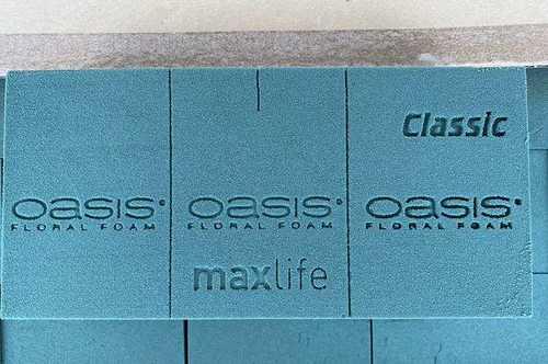 Флористическая губка Oasis maxlife classic