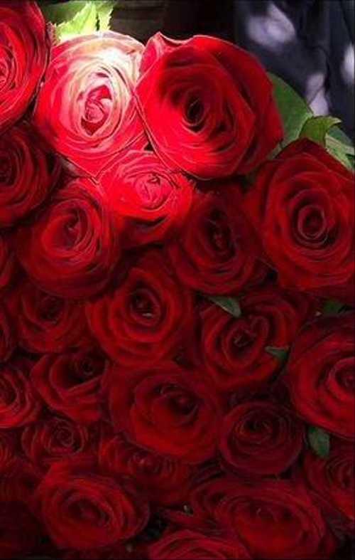 Красные розы 19 шт
