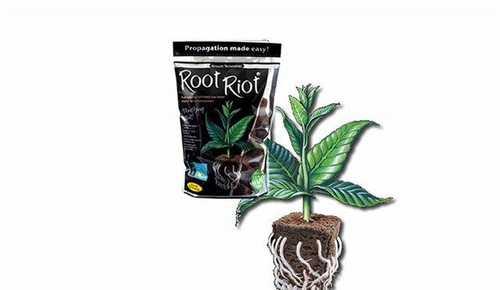 Органический кубик для выращивания Root Riot