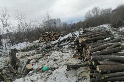 Дрова бесплатно