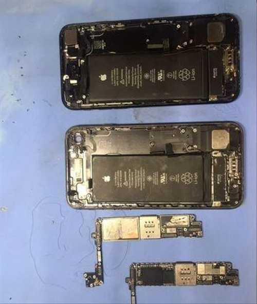 iPhone 7 разбор