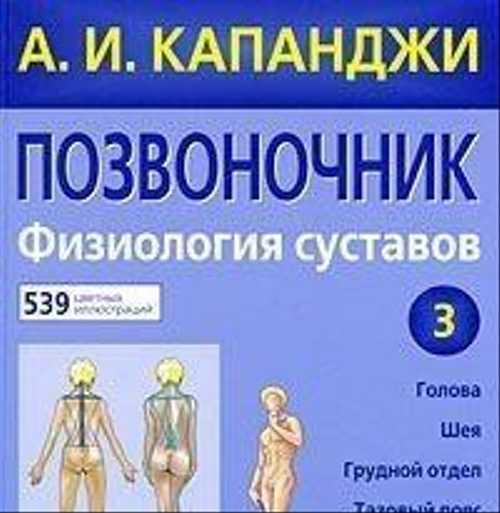 Позвоночник А. И. Капанджи (Физиология Суставов)