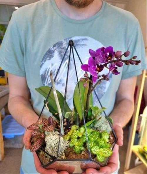 Флорариум с орхидеей в резной капле
