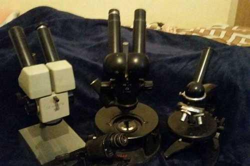 Бинокулярные микроскопы и микроскоп