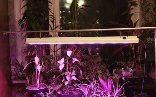 Фитолампа 30 Вт LED grow light