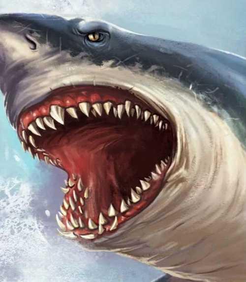 Зуб доисторической акулы