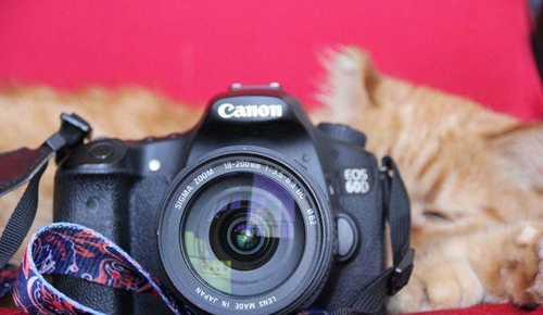 Canon 60d