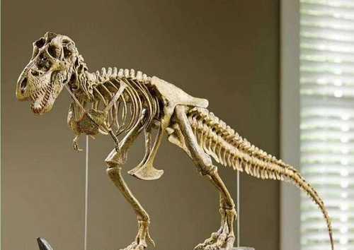 Скелет Тираннозавра Рекса,сборная модель