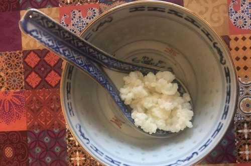 Тибетский молочный гриб