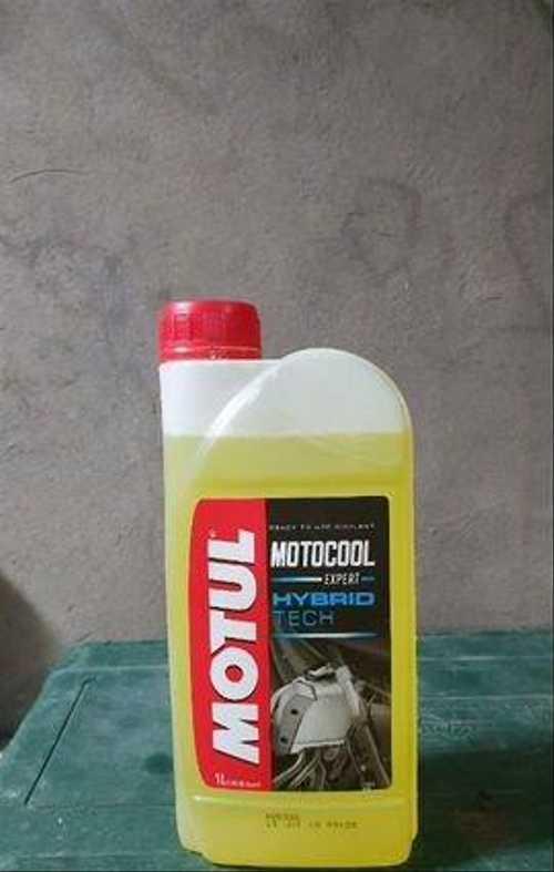 Motul expert антифриз