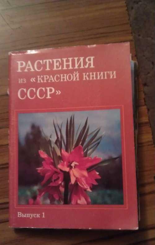 Растения из " красной книги СССР"