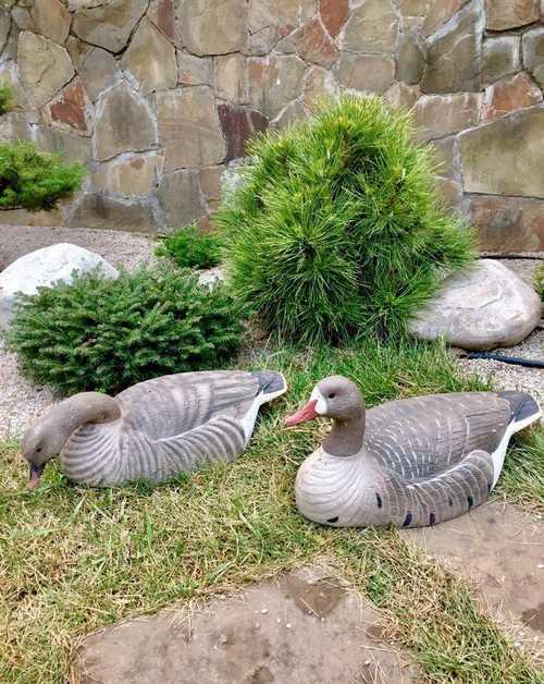 Чучела гусей (GreenHead)