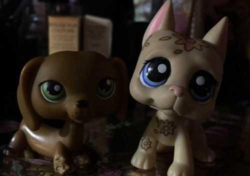 Lps лот littlest pet shop