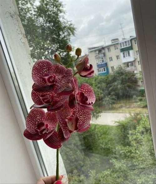 Орхидея фаленопсис искусственная