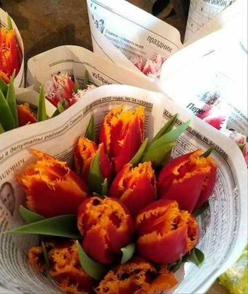 Красивые тюльпаны к 8 марта