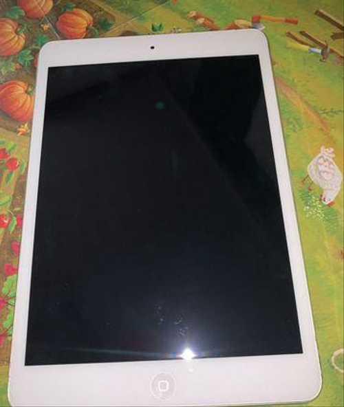 iPad mini 16gb