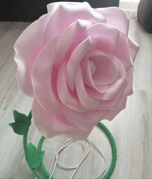 Роза-ночник