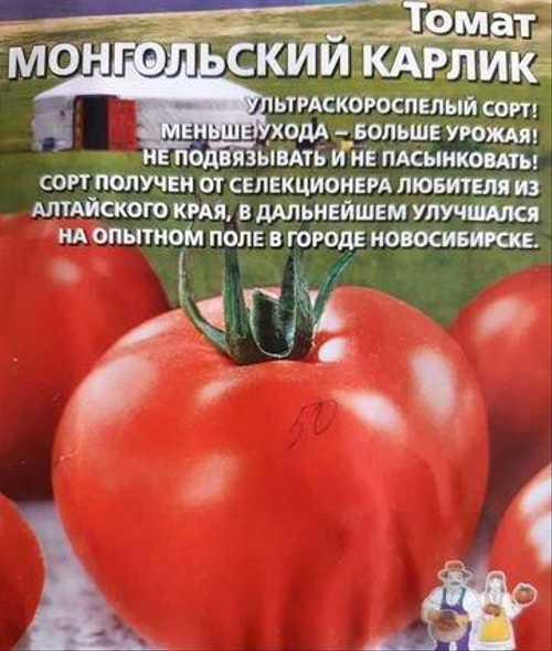 Рассада томатов Монгольский карлик