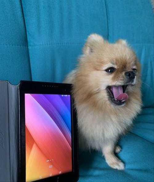Asus Zenpad C7 3G 16 GB