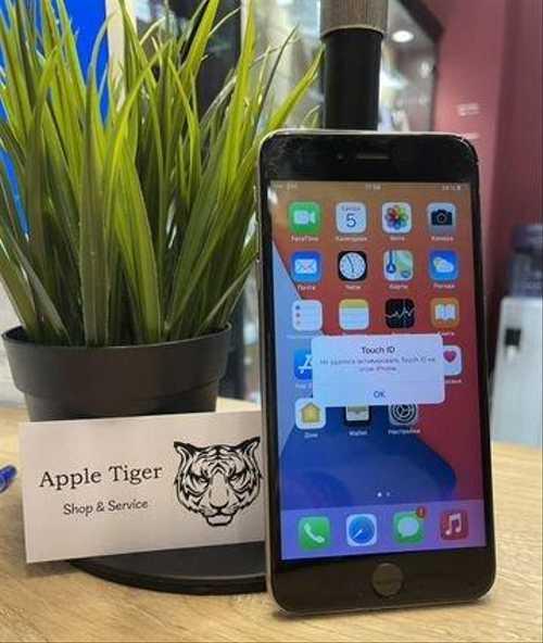 iPhone 6plus 16 /сбой тач