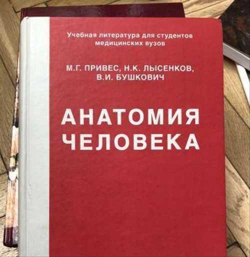 М г привес анатомия человека. Привес анатомия. Учебник привеса. Анатомия учебник привес.