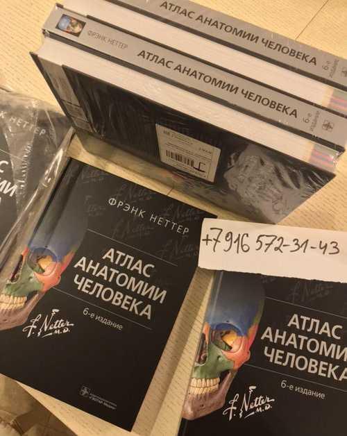 Атлас фрэнк. Атлас анатомии Фрэнк Неттер 6 издание. Фрэнк Неттер атлас анатомии человека. Книги Неттера. Атлас Фрэнка Неттера анатомия человека 8-е издание 2018 г. Москва.