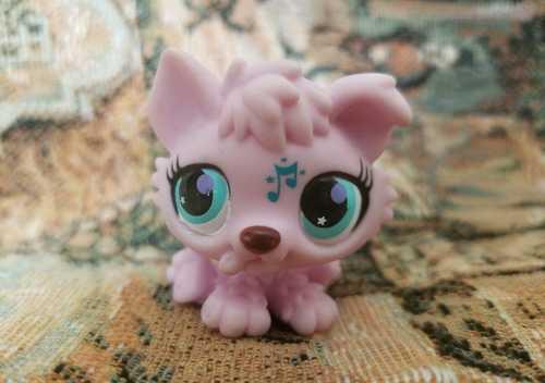 Littlest pet shop