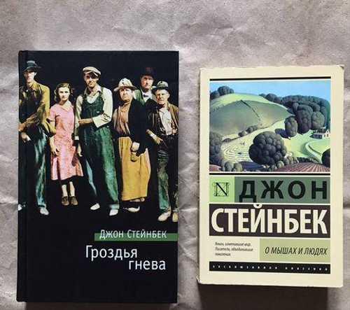 неведомый бог. писатель джон эрнст стейнбек. джон эрнст стейнбек книги. в битве с исходом сомнительным. стейнбек неведомому богу.