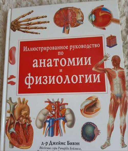 Руководство по анатомии и физиологии