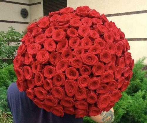 101 роза красная 80 см букет спб