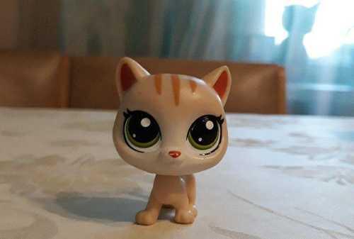 LPS кошка