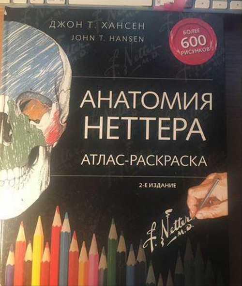 Неврология. Атлас-раскраска с рисунками Неттера. Рисунок Неттера 3093 4. Атлас раскраска неттера