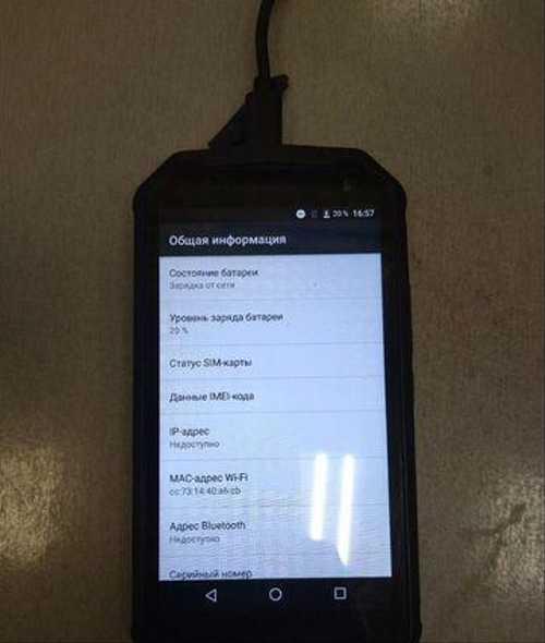 BQ 5033 Shark