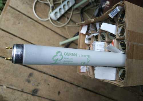 Лампа Люминесцентная Osram L36W/840