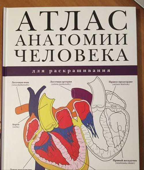 Атлас анатомии человека билич г л. Атлас анатомии человека. Медицинский атлас по анатомии человека в картинках внутренние органы. Анатомия человека атлас раскраска. Атлас "анатомии человека. Системы и органы" - Издательство Астрель.