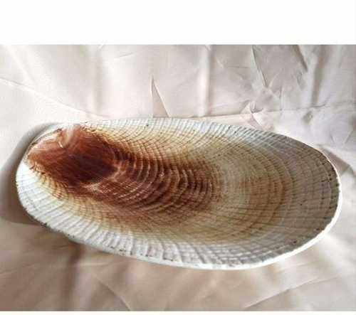 Старинная тарелка в форме раковины А. Кузнецова. 1