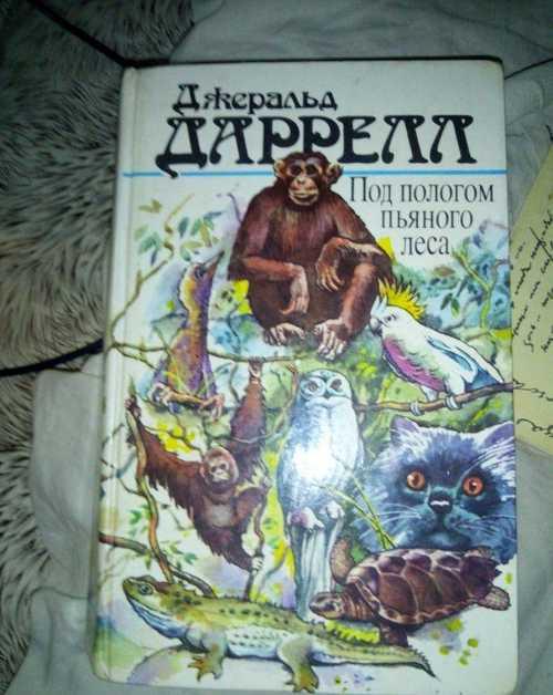 Под пологом пьяного леса. Незаконная Планета книга.