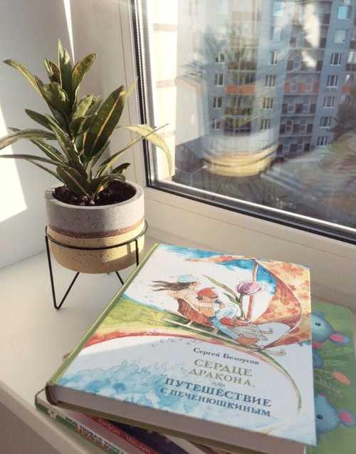 Новая книга