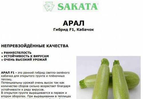 Арал F1 - семена кабачка, sakata seeds