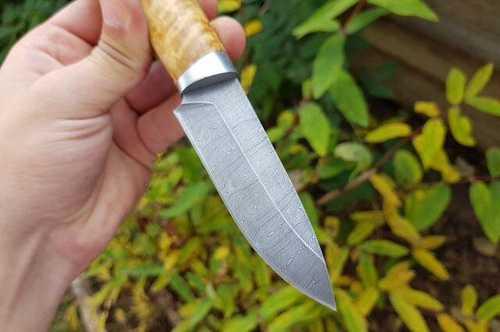 Охотничий нож Соболь (сталь дамаск рукоять карелка