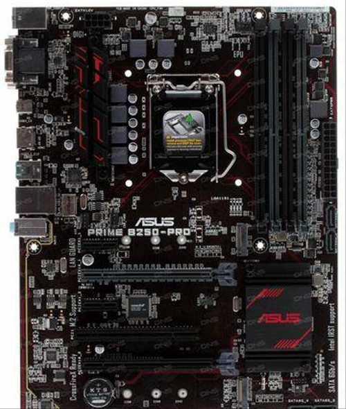 Asus prime B250