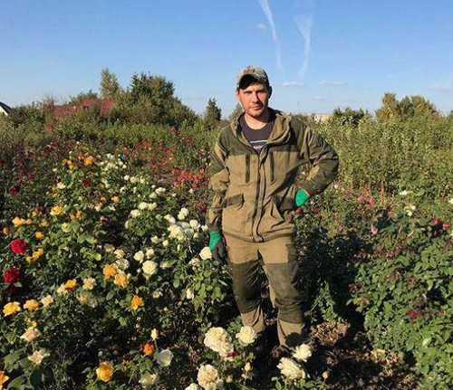 Саженцы плодовых деревьев и кустарников