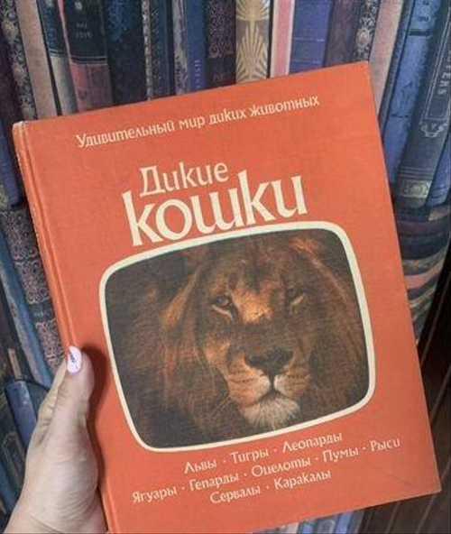 2 пакета советских детских книг, книги СССР