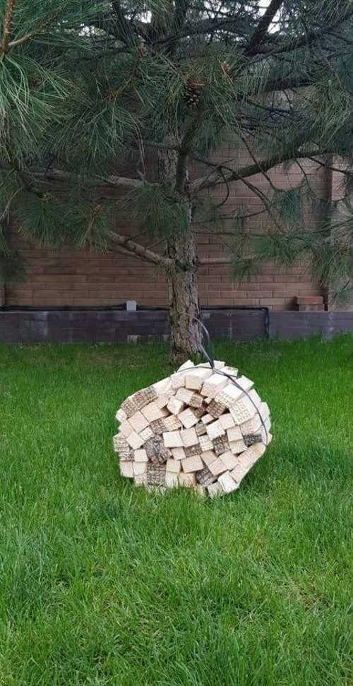 Дрова