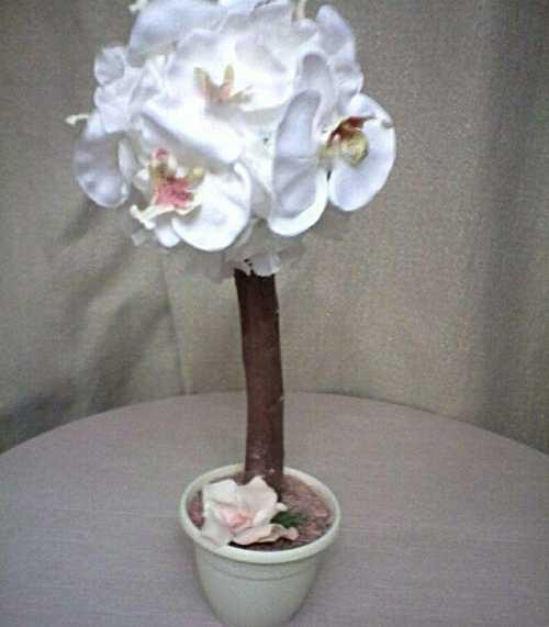 Орхидея Топиарий Дерево Счастья