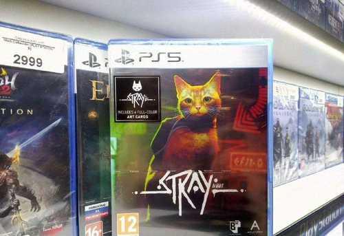 Stray PS5 ТЦ Ситимолл