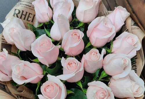 Цветы розы и букеты. Букет из нежных роз 25 шт